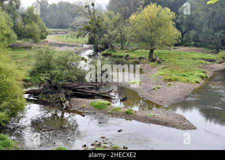 France, Doubs, Allenjoie, river, Allan, lower valley, low water, summer ...