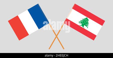 France and Lebanon flags for official meeting against background of ...