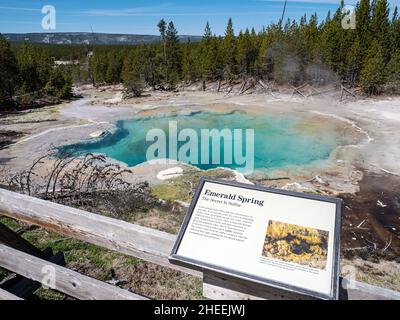 Emerald Spring in Norris Geyser Basin,Yellowstone National Park ...