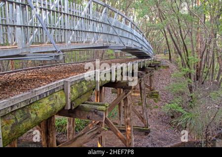 Bridge on the Wadandi Track near Margaret River Stock Photo - Alamy