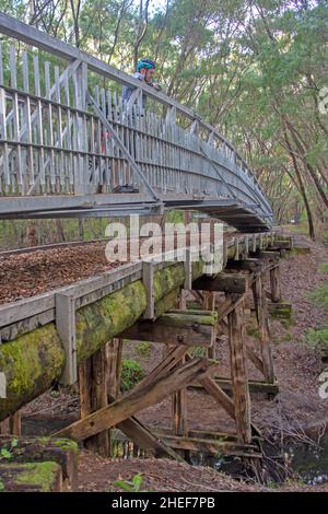 Bridge on the Wadandi Track near Margaret River Stock Photo - Alamy