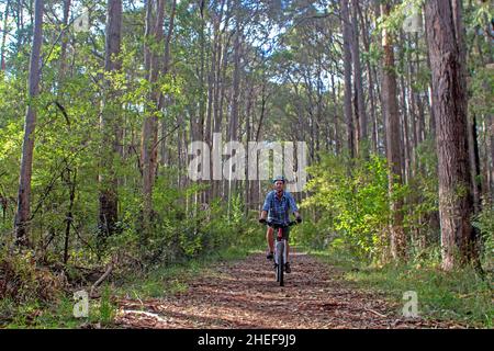 Cycling on the Wadandi Track Stock Photo - Alamy