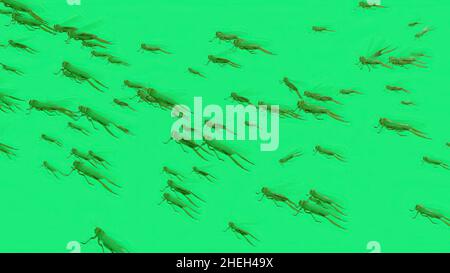 3d illustration - featuring a swarm of thousands of locusts flying into ...
