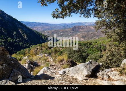Ruta Botanica waking route from Area Recreativa El Alcázar, Sierra ...