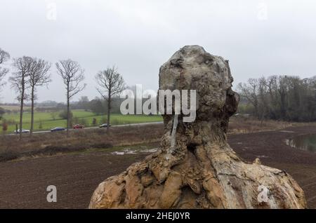 The Yoxman statue by artist Laurence Edwards stands beside the A12 road ...