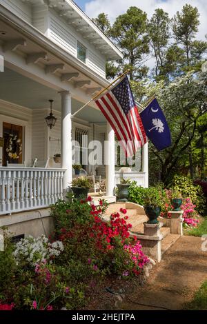 Greenville South Carolina white Azaleas Rhododendron Spp flowers in ...
