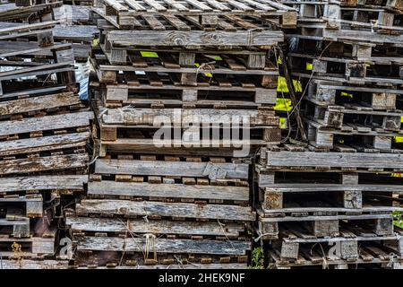Old discarded wooden pallet left to rot by a broken fence Stock Photo ...