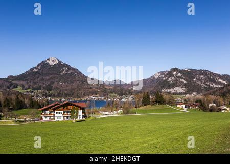 Lake Fuschl with beautiful alps panorama and green meadow Stock Photo ...