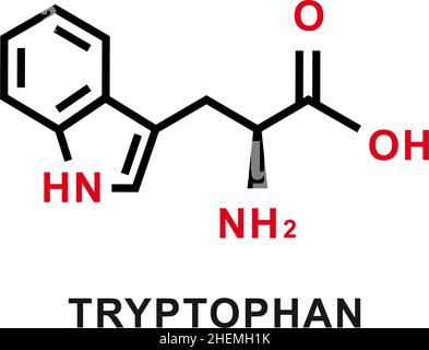 Tryptophan skeletal formula and structure. Vector illustration on white ...