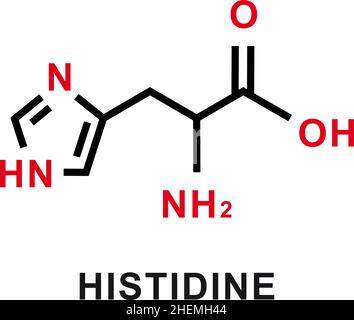 Histidine l-histidine, his, H amino acid molecule. Vector illustration ...