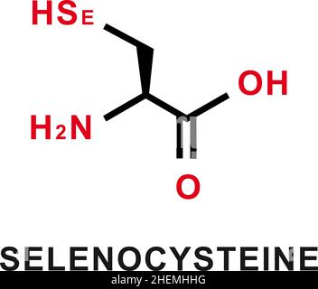 Selenocysteine chemical formula. Selenocysteine structural chemical ...