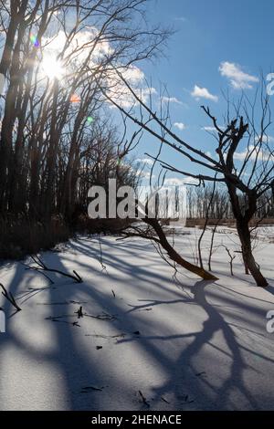 Harrison Twp., Michigan - Shadows on the snow at Lake St. Clair ...