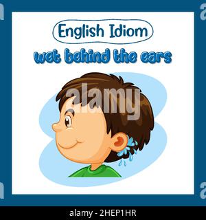 English idiom with picture description for wet behind the ears ...