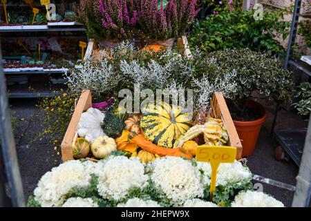Pumpkins and plants displayed outside the covered Oriental Market in ...