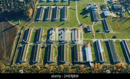 Aerial View Modern chicken farm, barns, Sheds. Bird's-eye View In Sunny ...