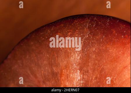 Abstract and art plum slice detail. Macro shooting background Stock ...