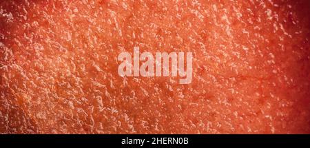 Abstract and art plum slice detail. Macro shooting background Stock ...