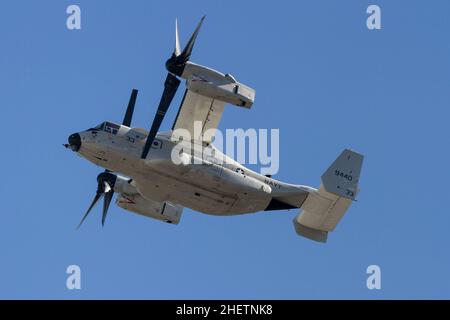 A Bell Boeing V22, CMV-22B, Osprey tilt-rotor transport aircraft with ...