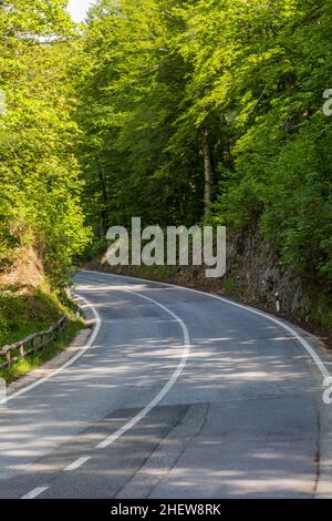 Road number 1 near Plitvice lakes, Croatia Stock Photo - Alamy