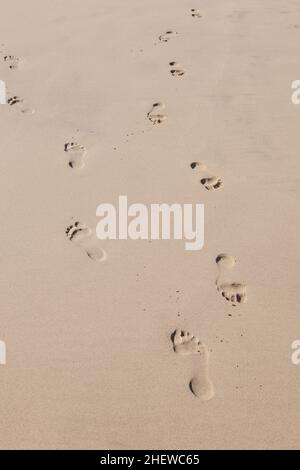 human footsteps at the clean sandy beach Stock Photo - Alamy