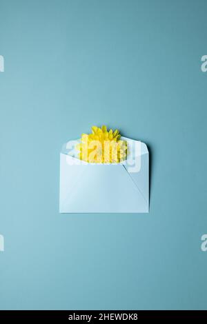 Yellow orchid on light blue background Stock Photo - Alamy