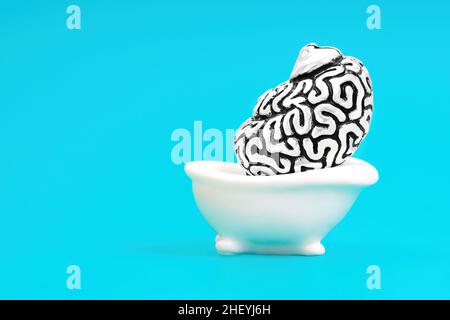Anatomical copy of a human brain lying in a toy bathtub isolated on a ...