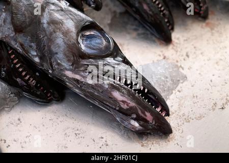 Espada preta, Black Scabbard fish Madeira Stock Photo - Alamy