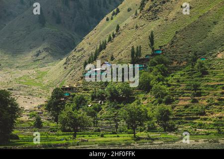 Traditional Houses on the Green Forest Rocks in Pakistani Mountains ...