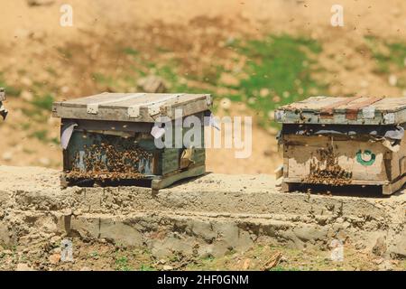 Wooden Bee Houses in Gilgit Baltistan Highlands among Spectacular ...