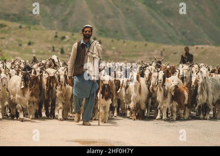 Gilgit Baltistan, Pakistan - July 08, 2021: Pakistan Shepherds in ...