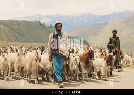 Gilgit Baltistan, Pakistan - July 08, 2021: Pakistan Shepherds in ...