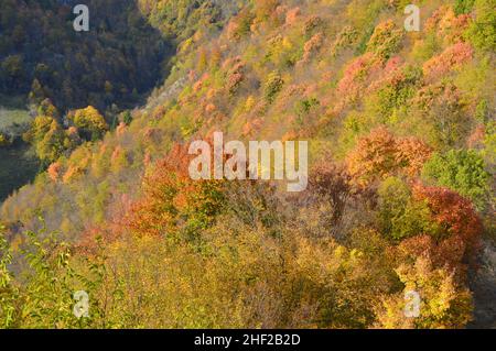 Autmn hiking on Bobobac, Bosnia and Herzegovina Stock Photo - Alamy