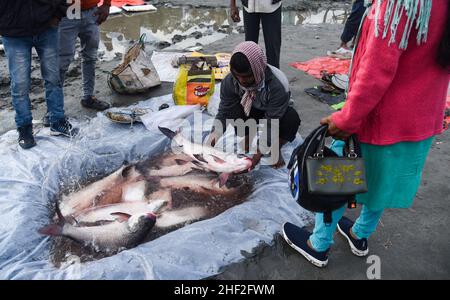Peoples gathering to buy fish at a market on the occasion of Uruka ...