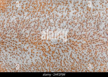 Metal surface rusty and coarse, background or texture Stock Photo - Alamy