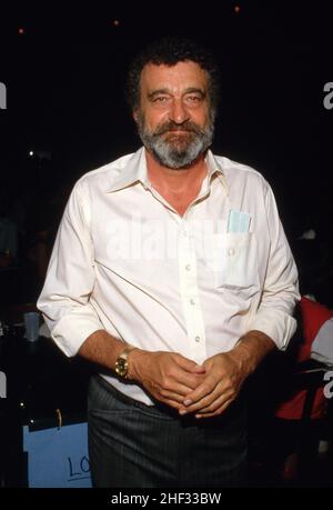 Victor French Circa 1980's. Credit: Ralph Dominguez/MediaPunch Stock Photo - Alamy