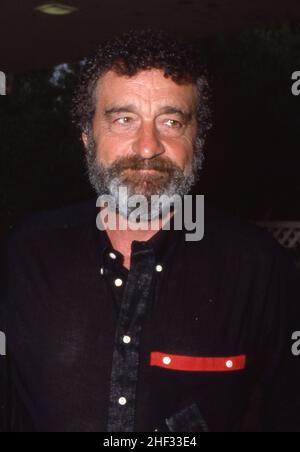 Victor French Circa 1980's. Credit: Ralph Dominguez/MediaPunch Stock ...