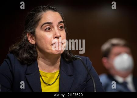 Melissa Griffin Dalton appears before a Senate Committee on Armed ...