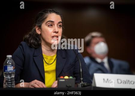 Melissa Griffin Dalton appears before a Senate Committee on Armed ...