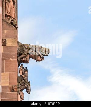 gargoyle witgh grimace at Freiburg Minster Stock Photo - Alamy