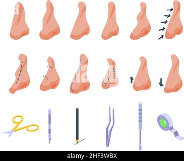 Rhinoplasty icons set isometric vector. Human nose. Closed open Stock ...