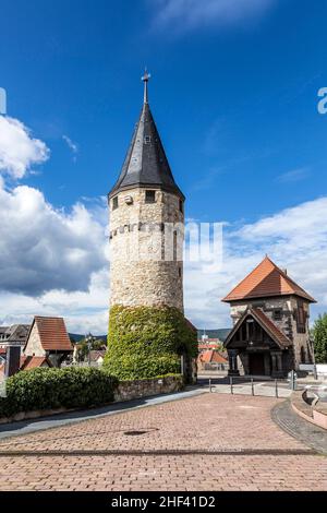 Bad Homburg Castle near Frankfurt in Hesse, Germany Stock Photo - Alamy