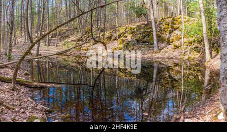 Canadian Marshland in Petroglyphs Conservation Area Ontario Canada in ...
