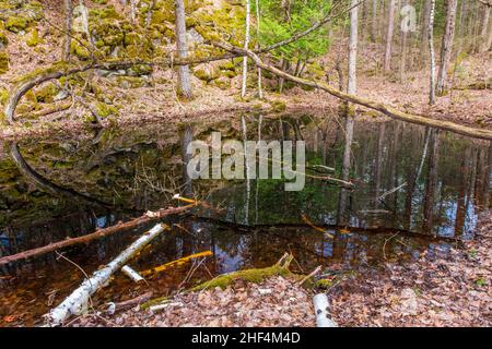 Canadian Marshland in Petroglyphs Conservation Area Ontario Canada in ...