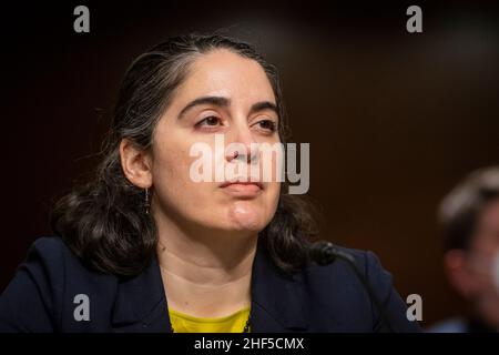 Melissa Griffin Dalton appears before a Senate Committee on Armed ...