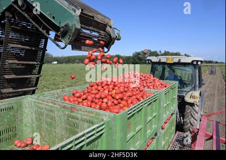 Industrial machine used in canning jar production. A close-up view ...