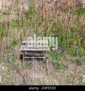 old rotten wooden chair at a meadow on a sunny day Stock Photo - Alamy