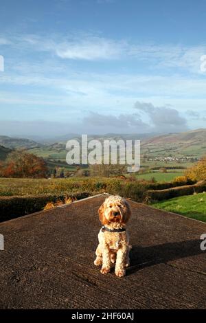The Berwyn valley and mountain range on the border of North Wales and ...