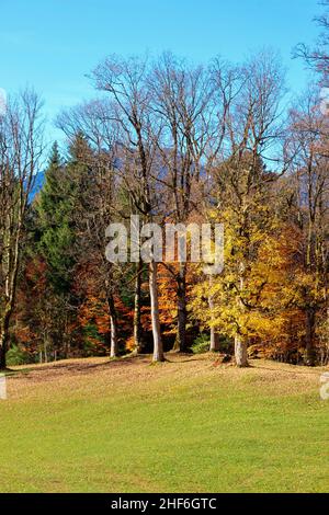 Scenic autumnal Garmisch-Partenkirchen village in Bavaria (Germany ...