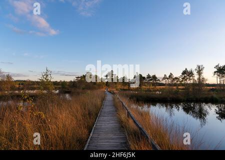 A panoramic shot of a landscape of Luneburg Heath nature preserve in ...
