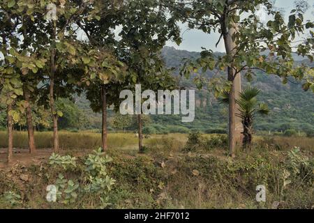 Kondaveedu Fort,Andhra Pradesh Stock Photo - Alamy